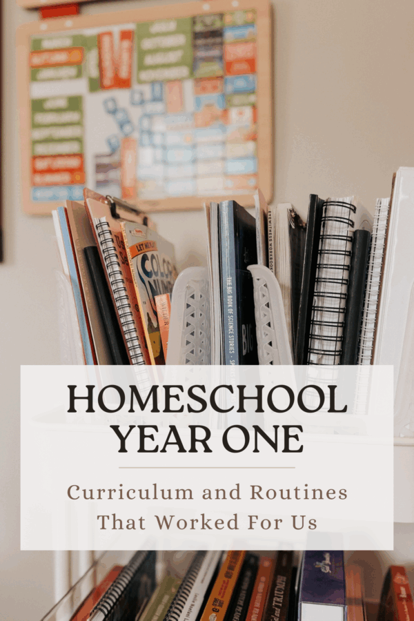First Grade Homeschool Curriculum That Worked for Us - fouracrehome